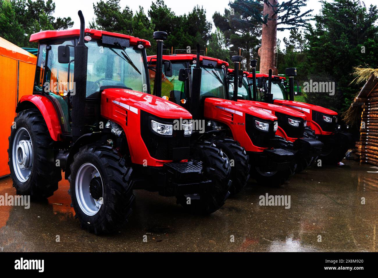The new red agricultural tractors of various models stand in a row at ...