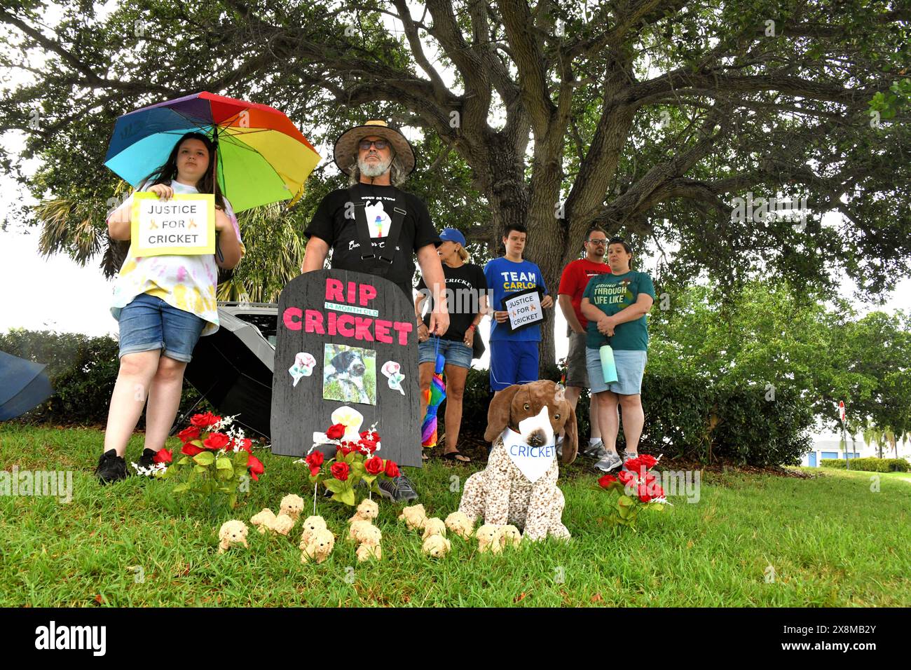 Governor noem hi-res stock photography and images - Alamy