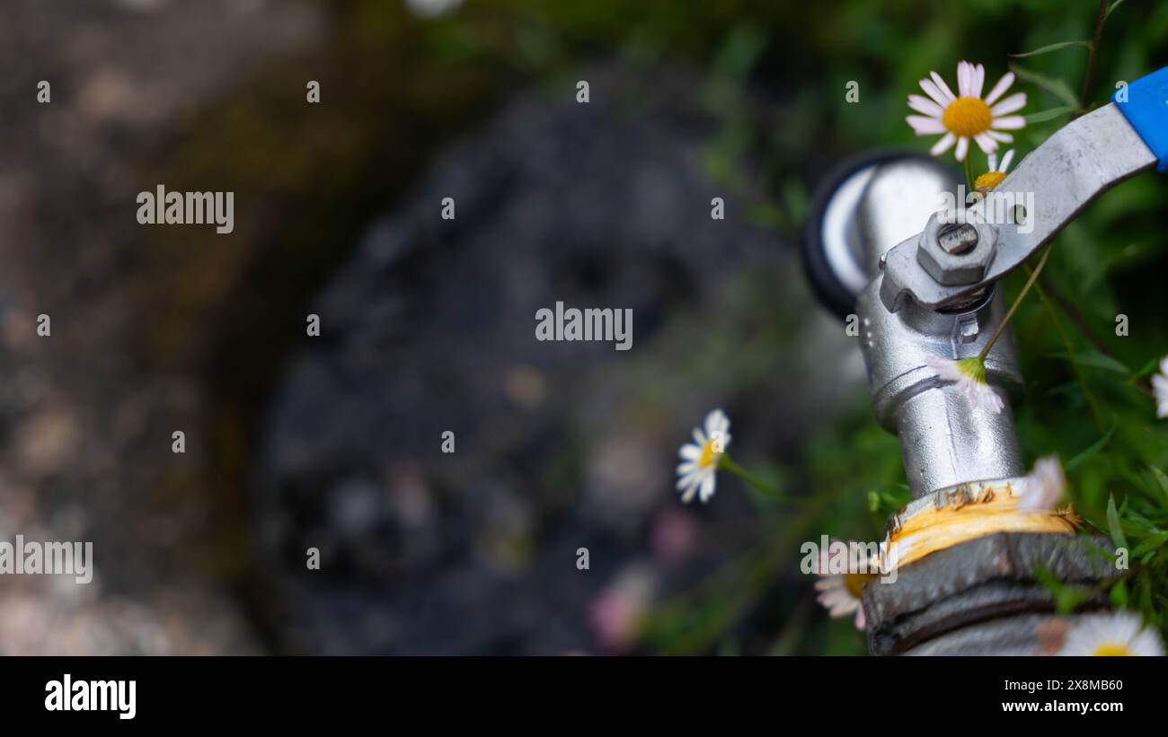 Water trough faucet in hi-res stock photography and images - Alamy
