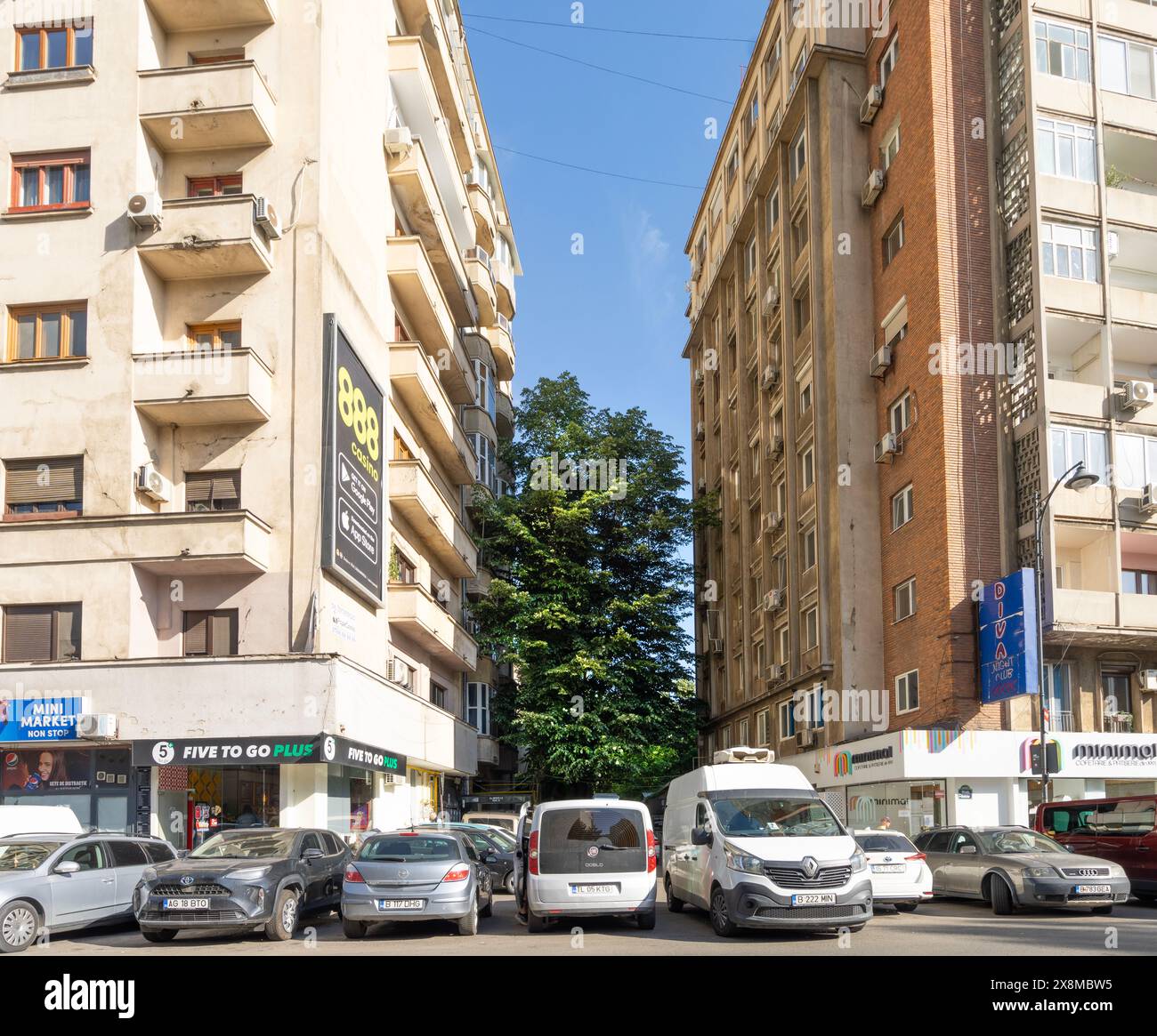 Bucharest, Romania. May 23, 2024. view of a tree squeezed between two ...