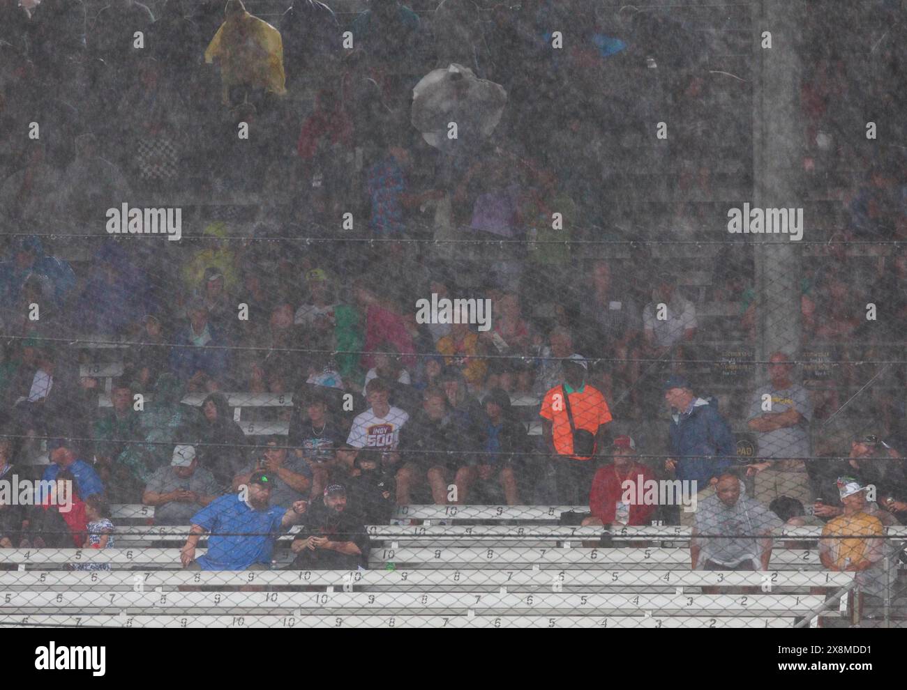 Indianapolis, USA. 26th May, 2024. INDIANAPOLIS, INDIANA - MAY 26: Fans ...