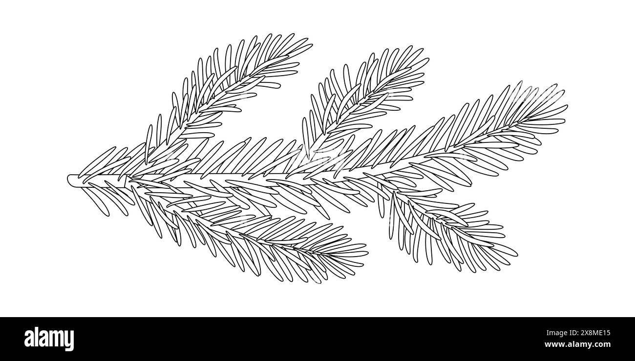 Evergreen Line Art