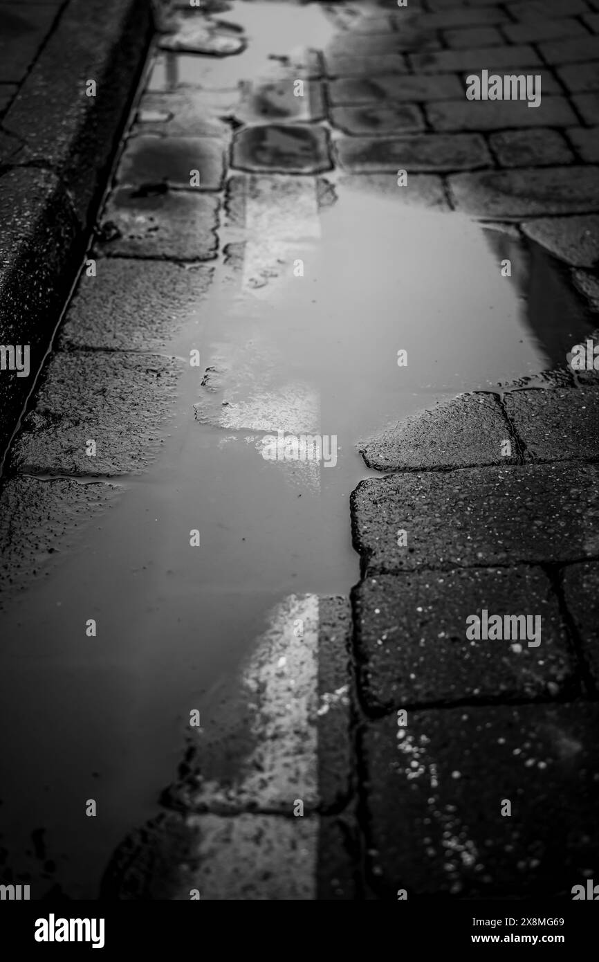 Black-and-white photo of rain water puddles reflecting light on a ...