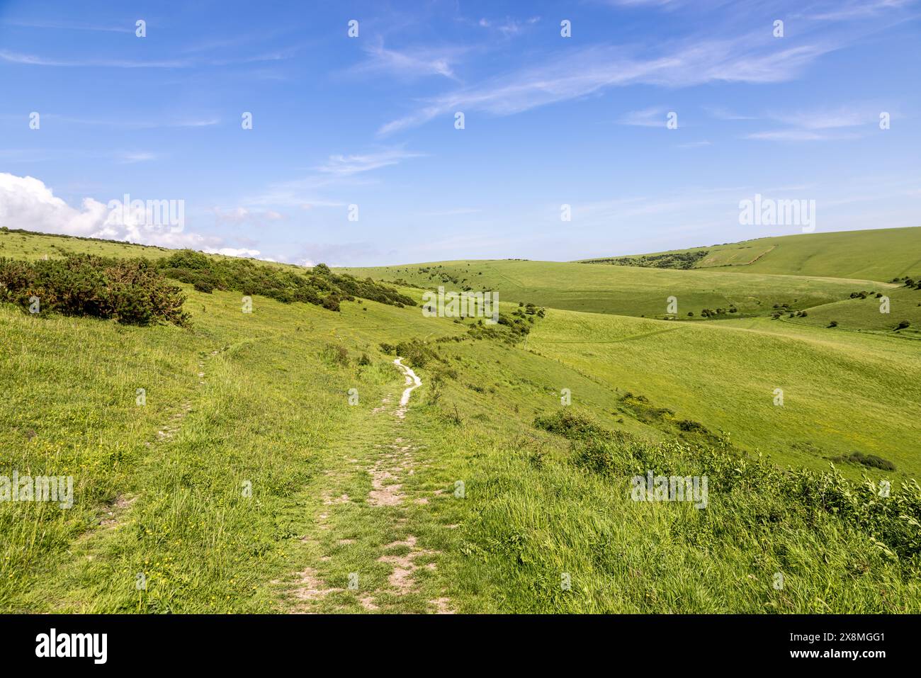 A view along a chalk pathway leading towards Mount Caburn, in the South ...