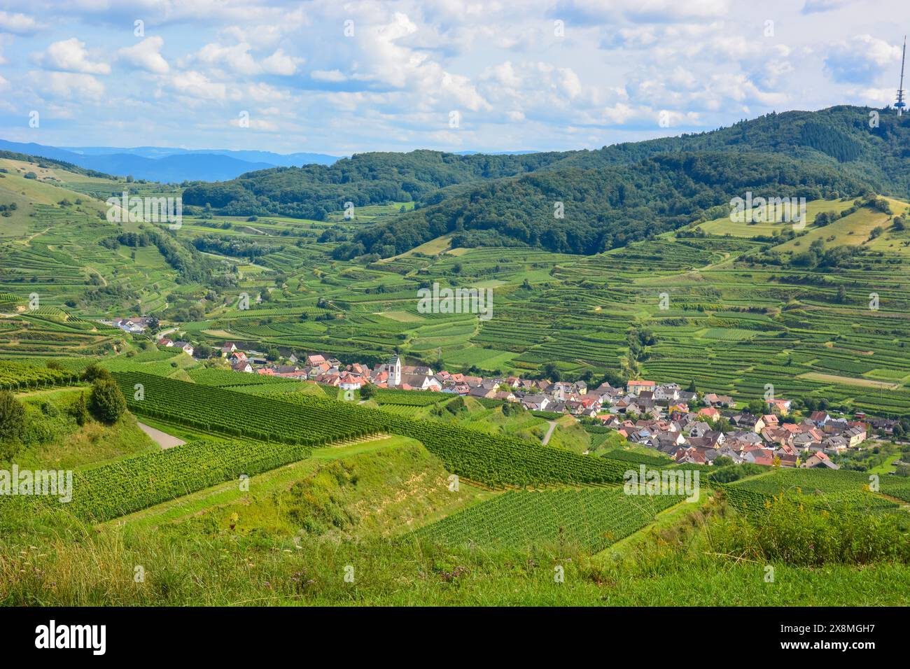 Germany kaiserstuhl village oberbergen hi-res stock photography and ...
