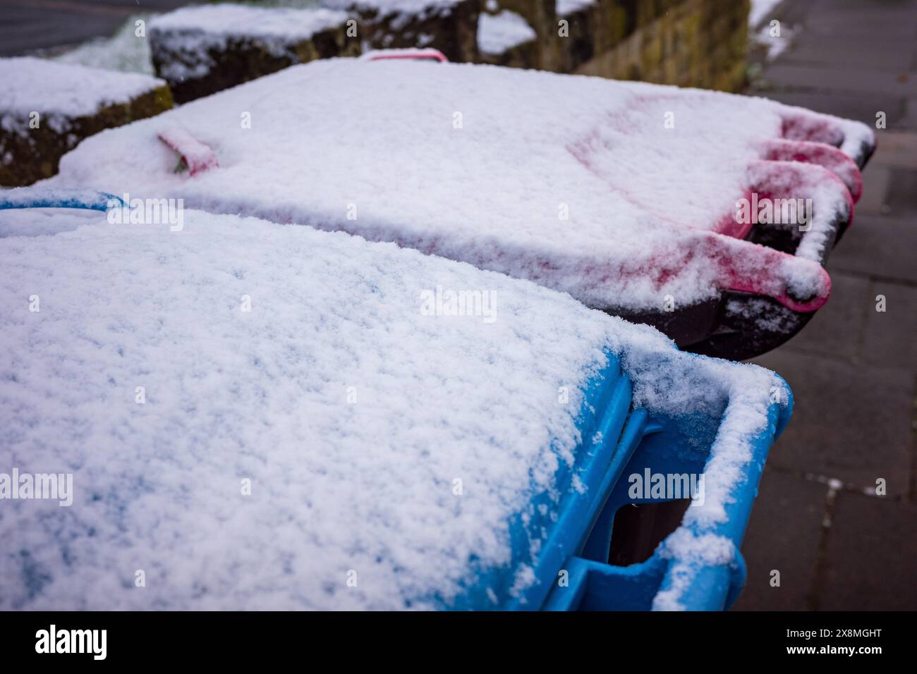 Snow-covered trash bins on a sidewalk showcasing winter weather and icy ...