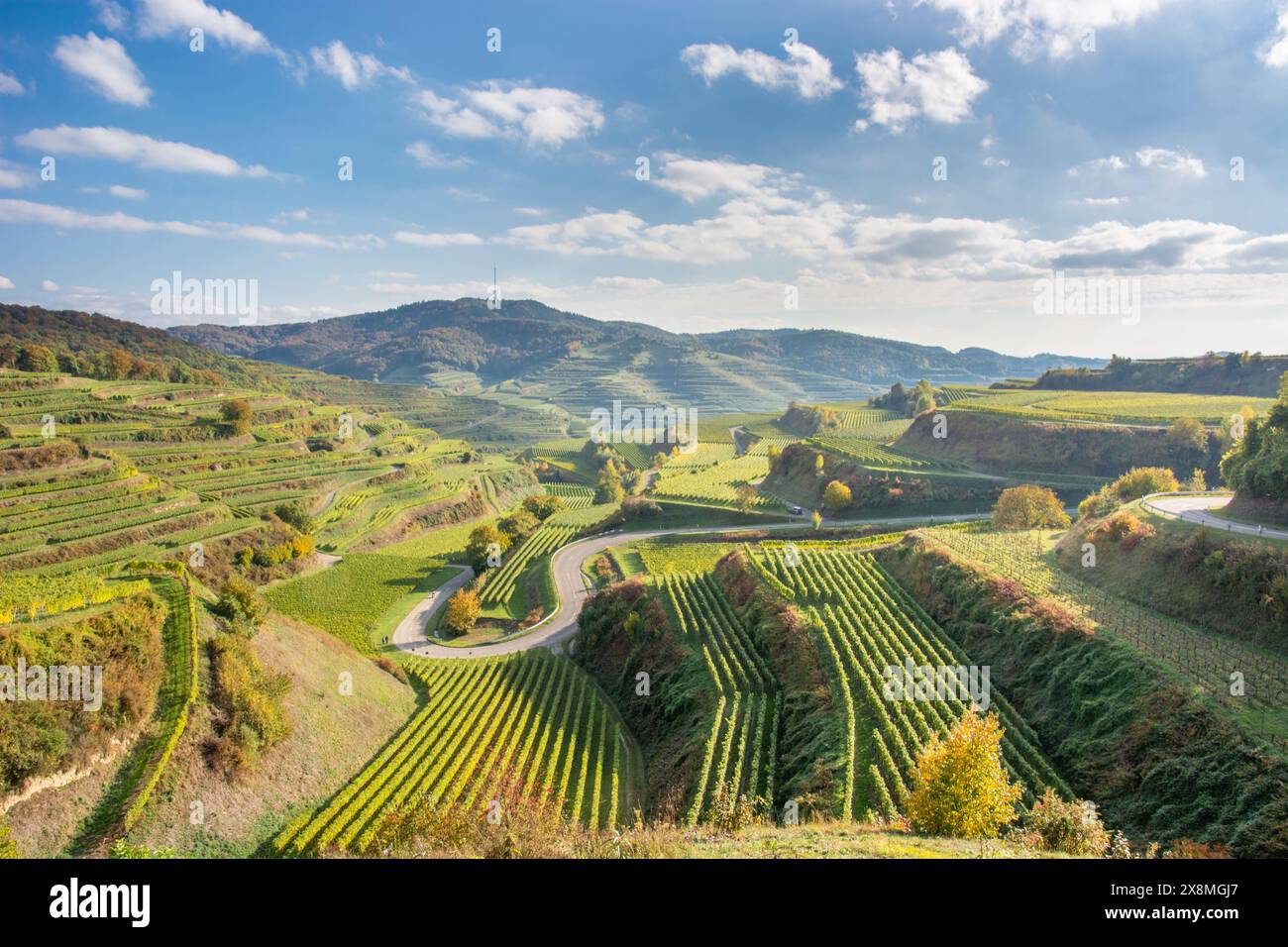 Texas Pass - Landscape with vineyards in Kaiserstuhl Stock Photo - Alamy