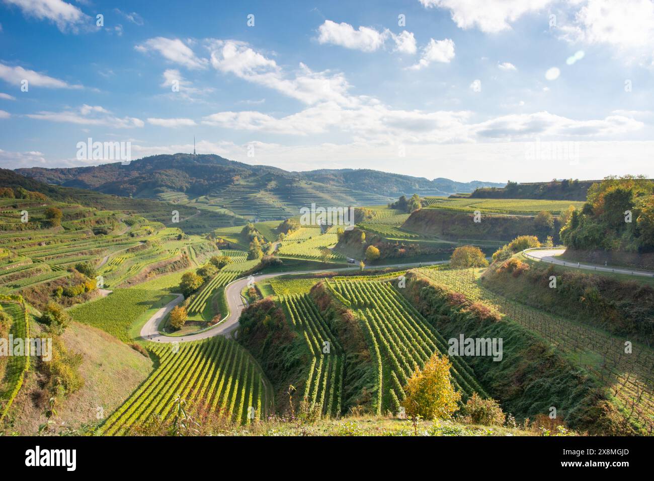Texas Pass - Landscape with vineyards in Kaiserstuhl Stock Photo - Alamy