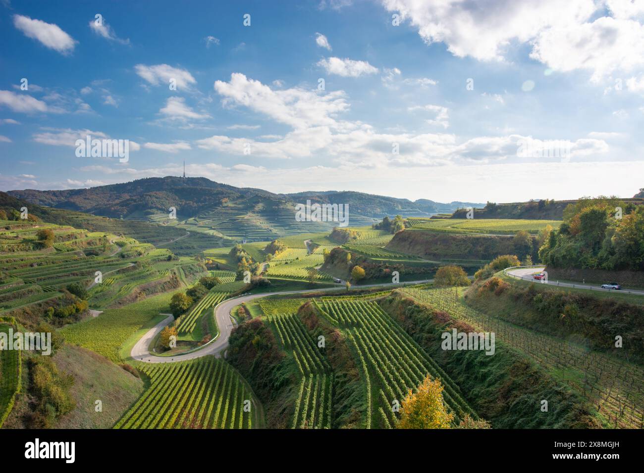Texas Pass - Landscape with vineyards in Kaiserstuhl Stock Photo - Alamy