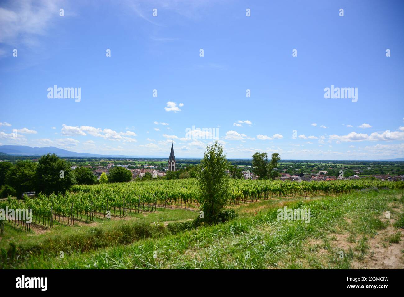 Ihringen hi-res stock photography and images - Alamy