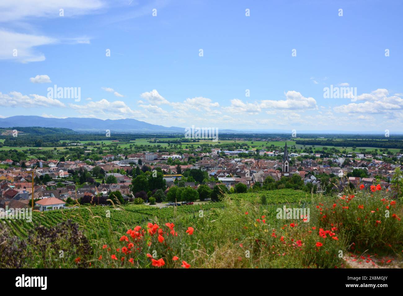 Ihringen hi-res stock photography and images - Alamy
