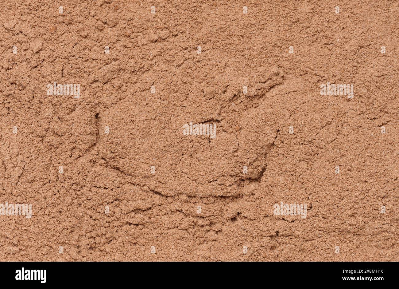 Dry ground cocoa powder, texture. Close up Stock Photo - Alamy