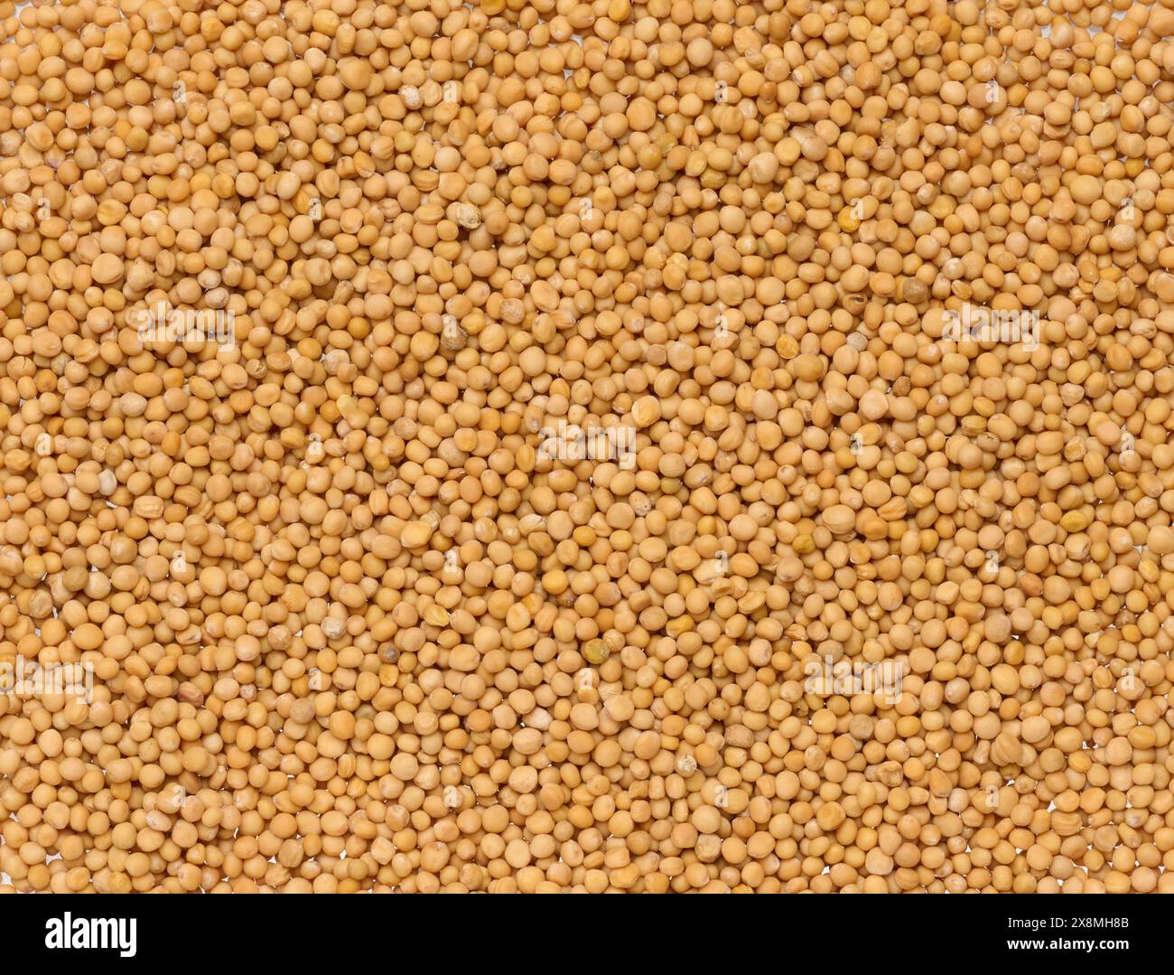 Mustard seeds, full frame. Close up Stock Photo - Alamy