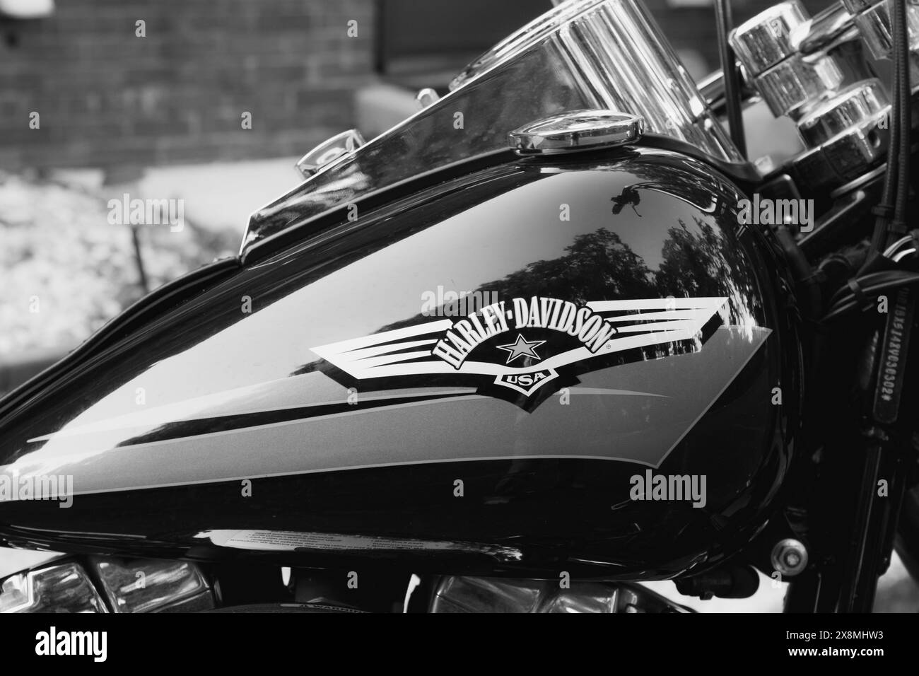 Harley davidson logo Black and White Stock Photos & Images Harley davidson logo Black and White Stock Photos & Images