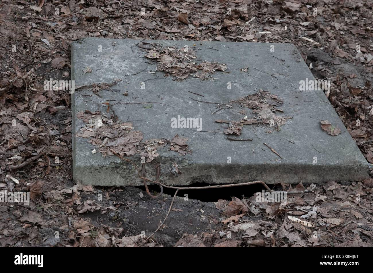 the pit is covered with a concrete slab, fallen fall leaves all around ...