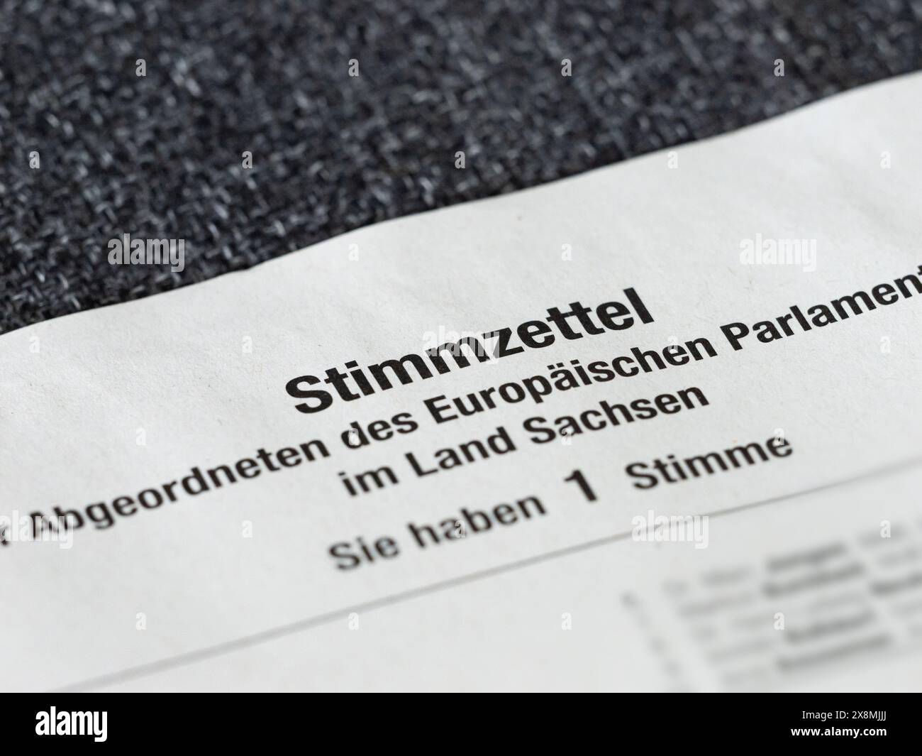 Europawahl 2024 hi-res stock photography and images - Alamy