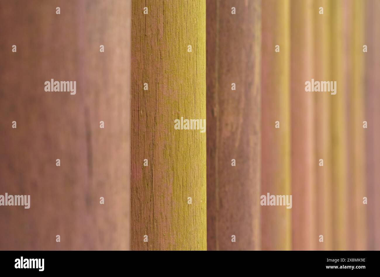 Detailed view of a row of wooden poles, showing their texture and ...