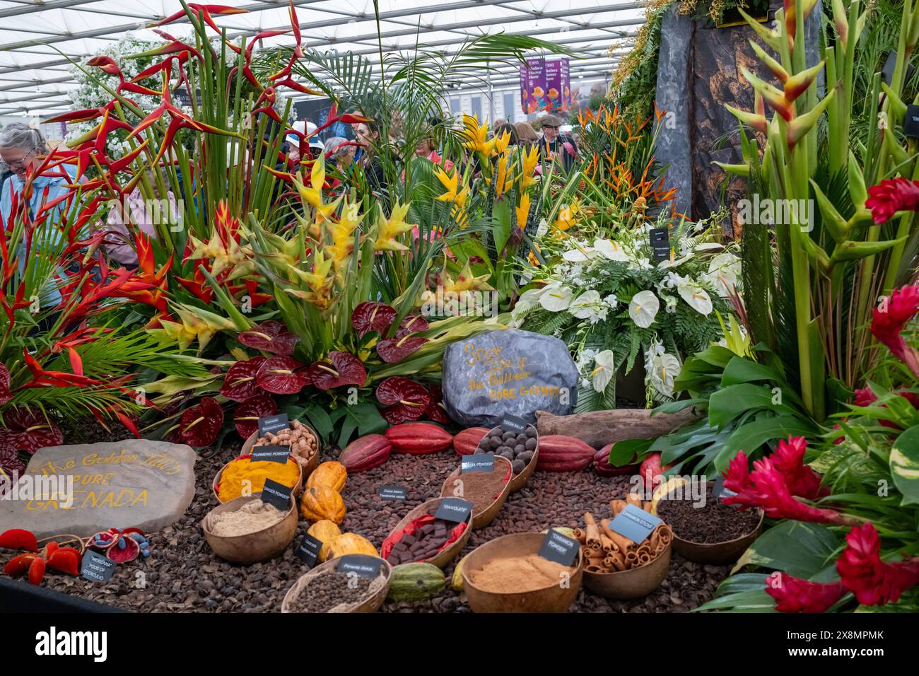 Ornate multi-coloured award winning flowers and plants on display at ...