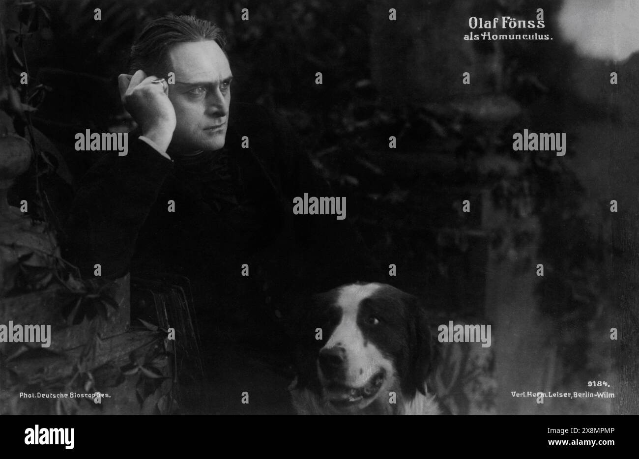 Homunculus hi-res stock photography and images - Alamy