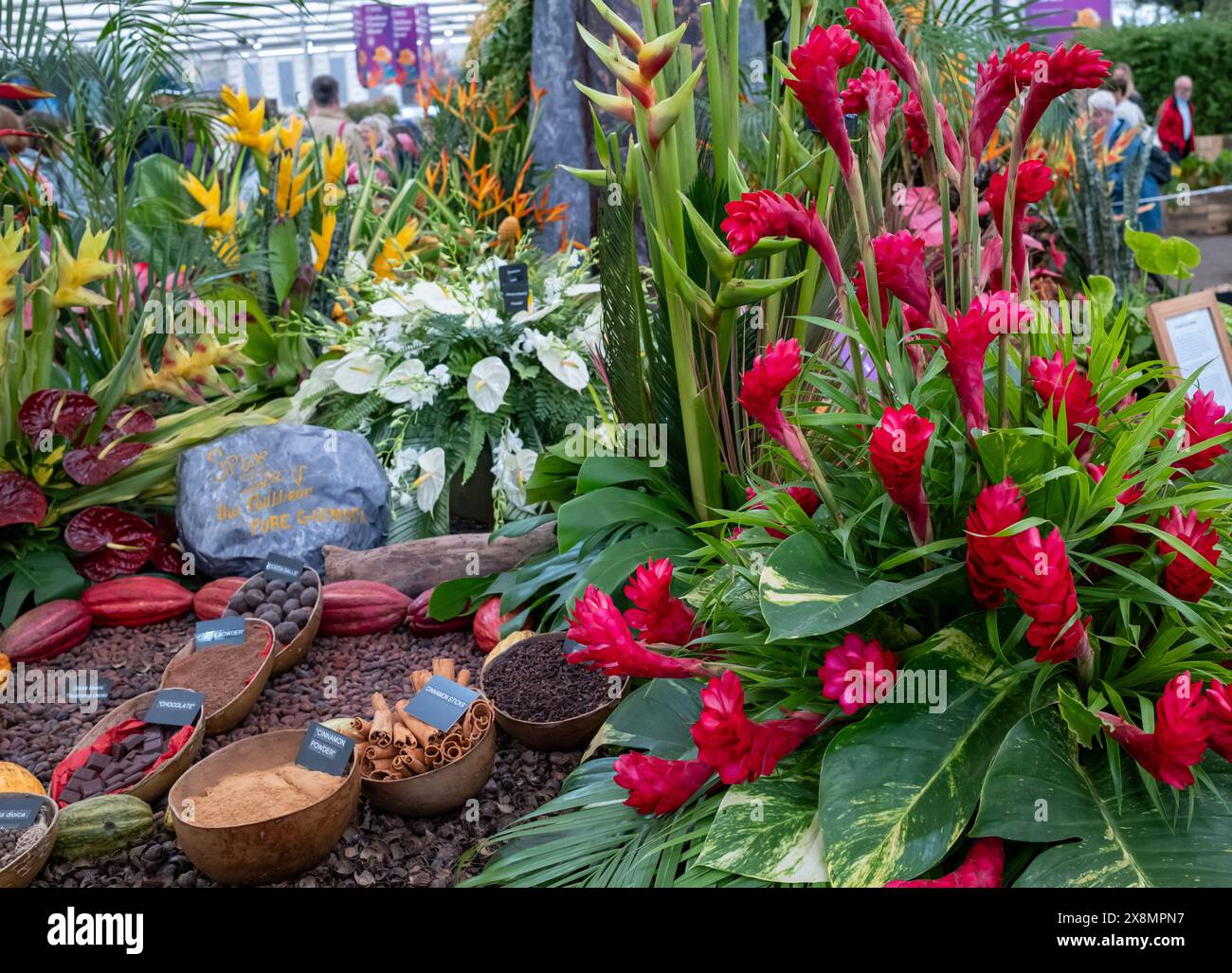 Ornate multi-coloured award winning flowers and plants on display at ...