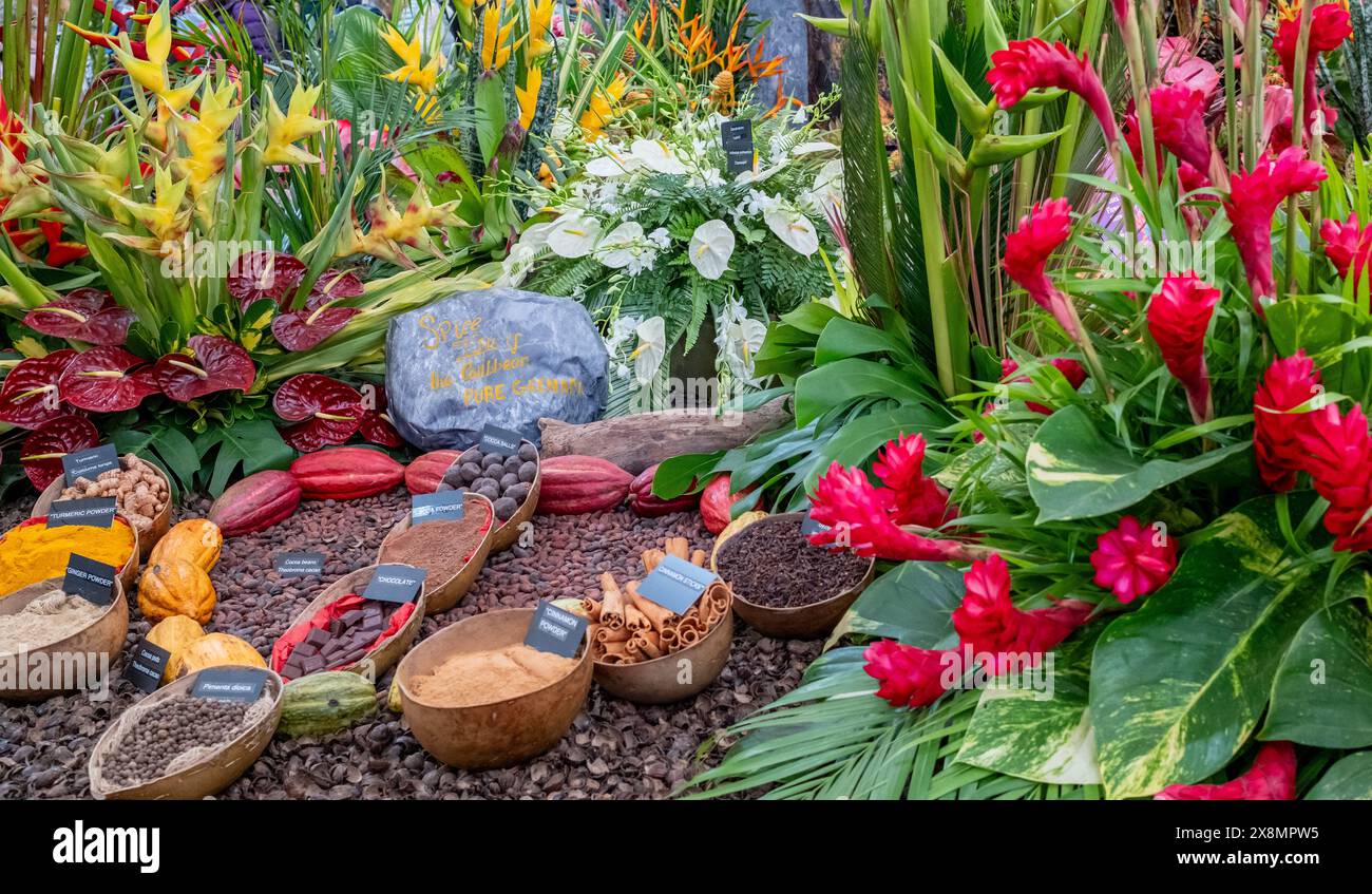 Ornate multi-coloured award winning flowers and plants on display at ...