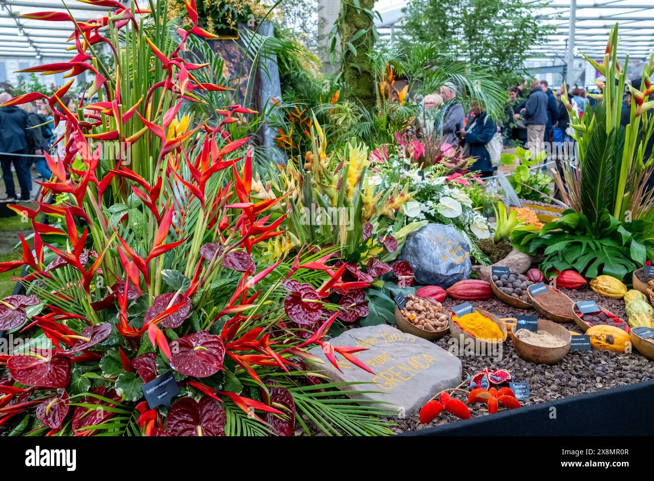 Ornate multi-coloured award winning flowers and plants on display at ...