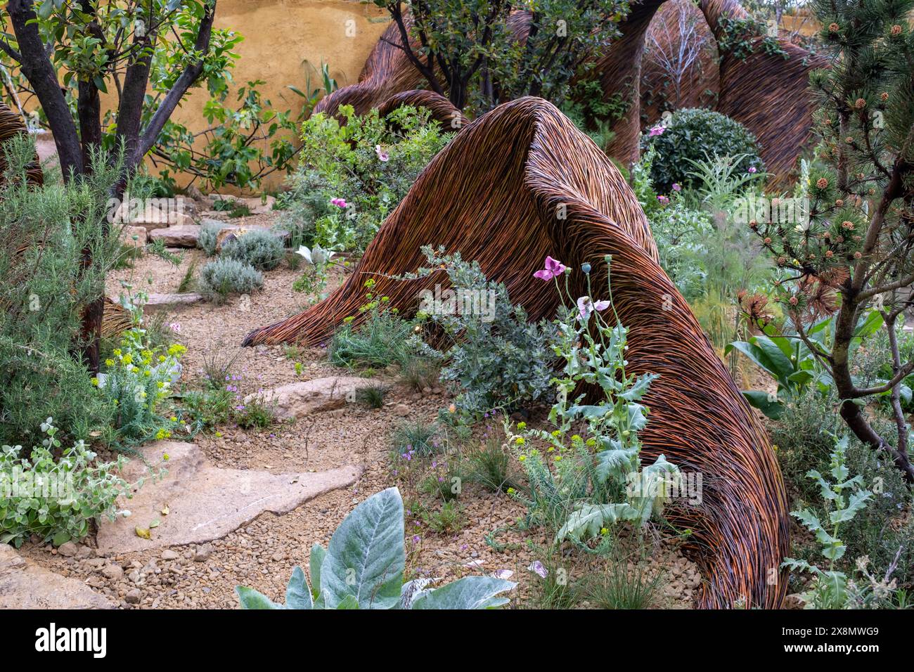 Display garden at the 2024 RHS Chelsea flower show Stock Photo - Alamy