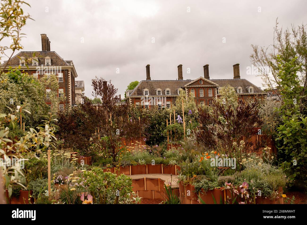 Outdoor garden display at the 2024 RHS Chelsea flower show Stock Photo ...