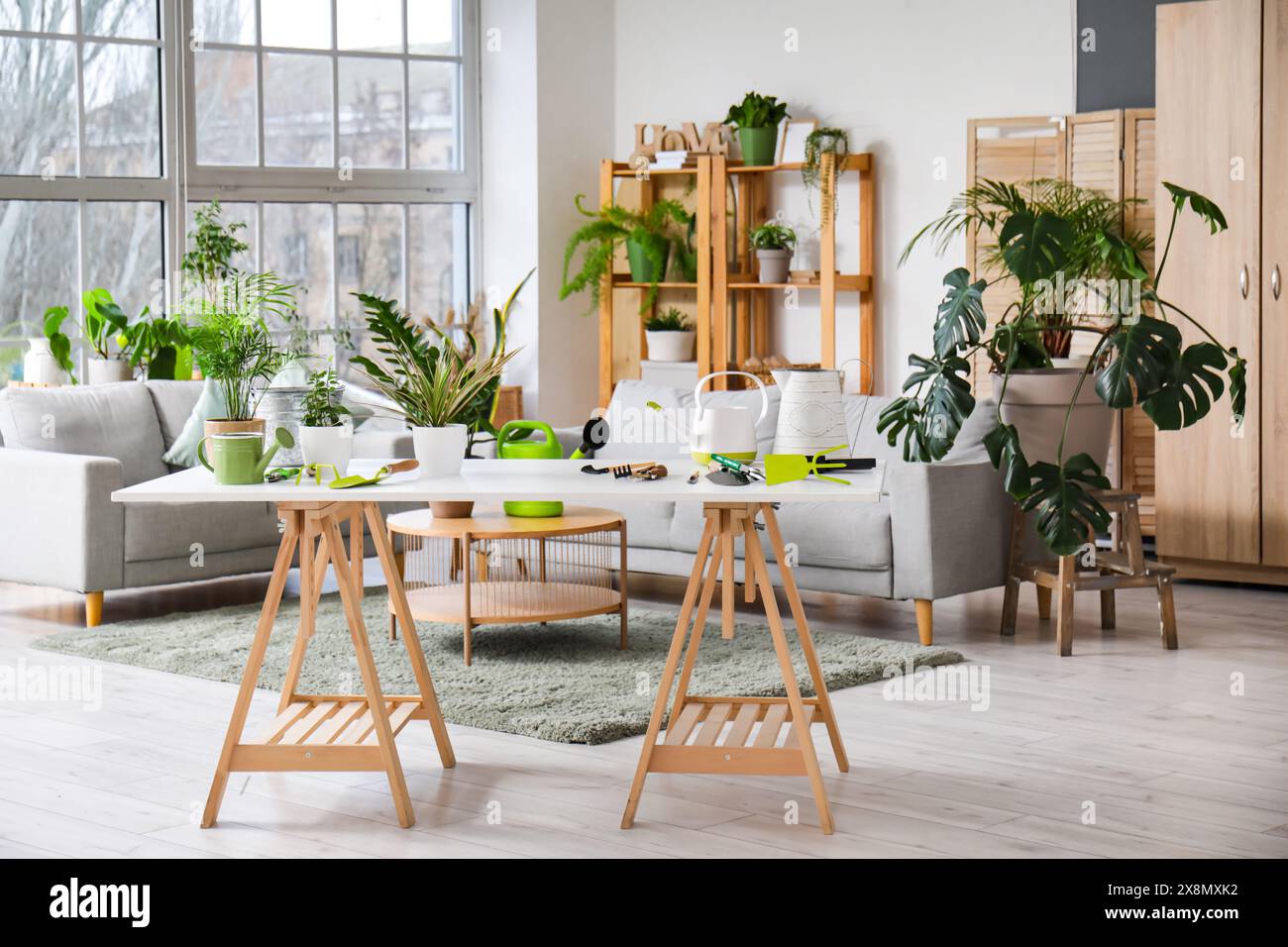 Different houseplants in living room Stock Photo - Alamy