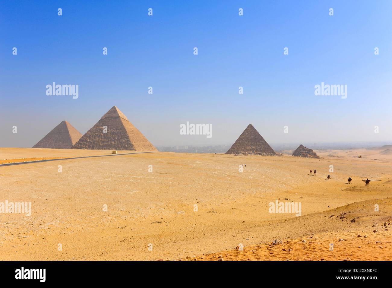 Tourists near pyramids with camels hi-res stock photography and images ...