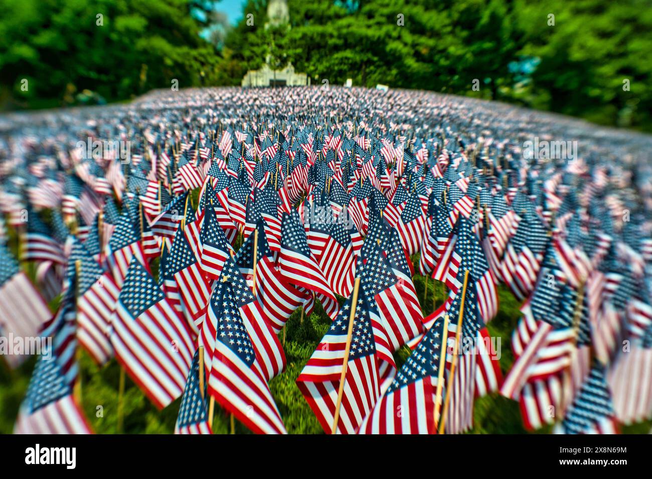Boston, Massachusetts, USA Each of the 37,000+ American flags planted ...