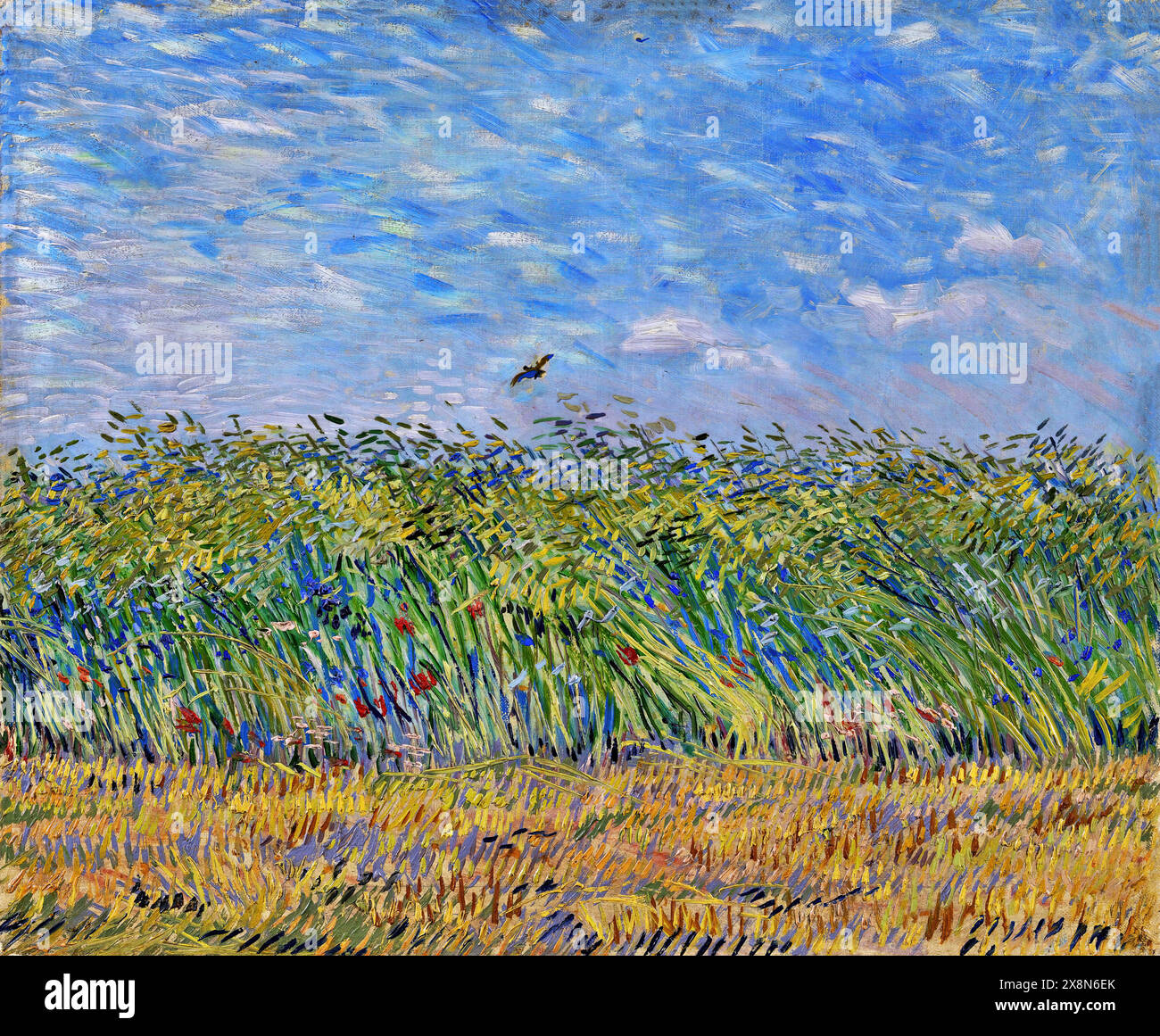 Wheatfield with Partridge, 1887 (Painting) Artist Gogh, Vincent van ...