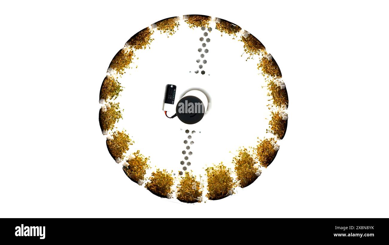 Abstract spinning circular object with yellow withered grass growing ...