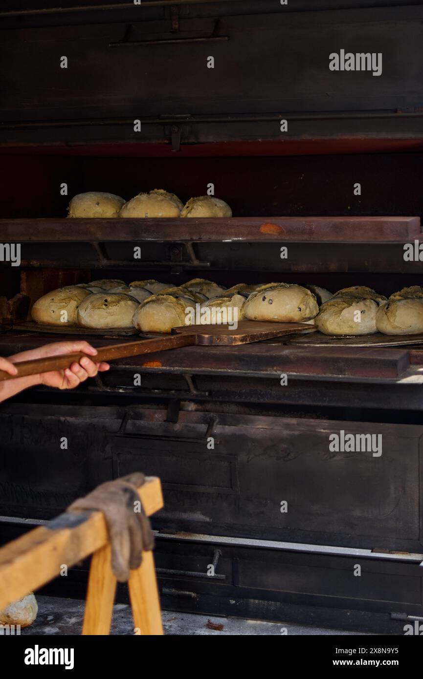 Image of artisanal bread with seeds baking in an industrial oven Stock ...