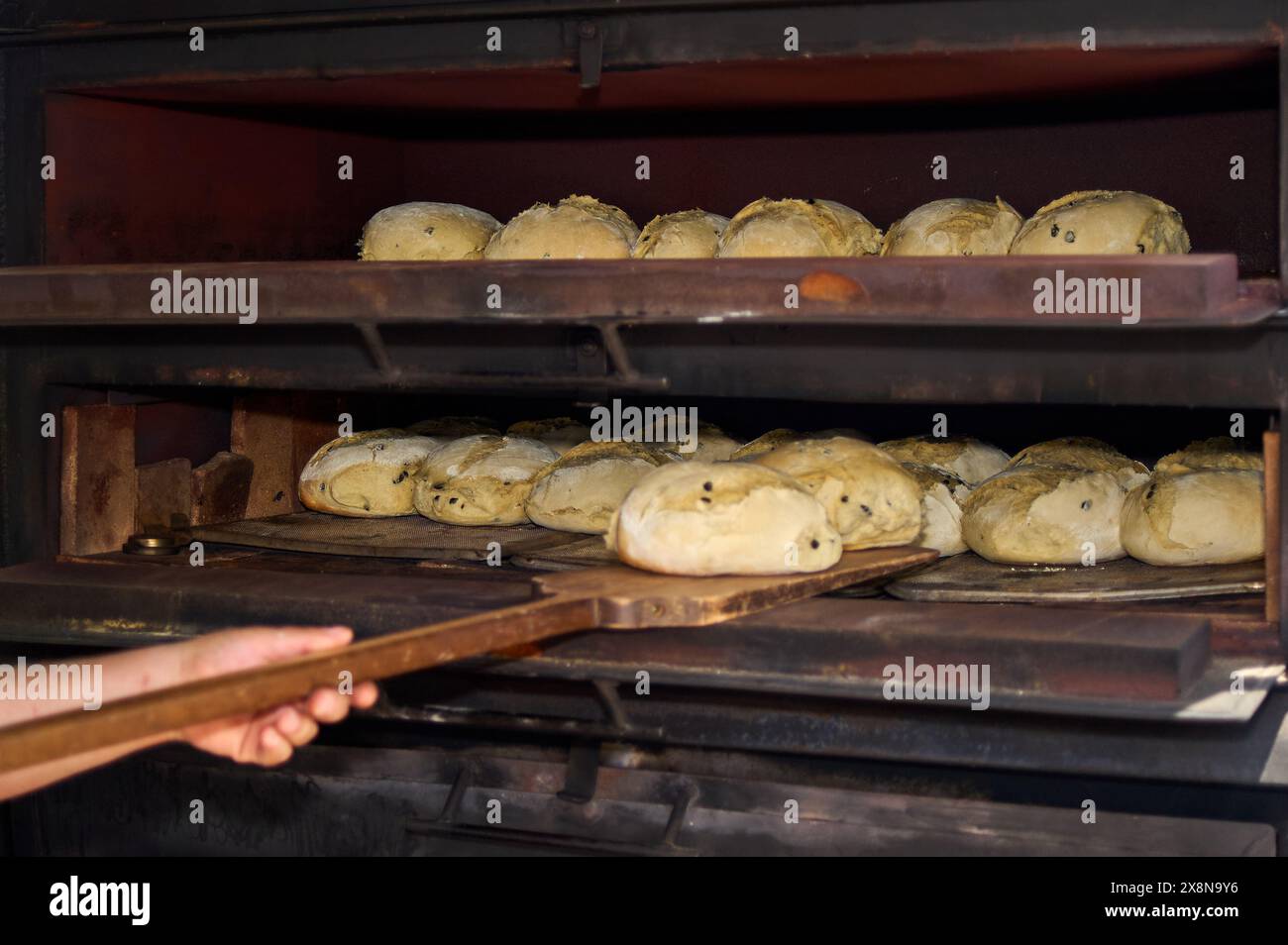 Process baking bread in bakery hi-res stock photography and images - Alamy