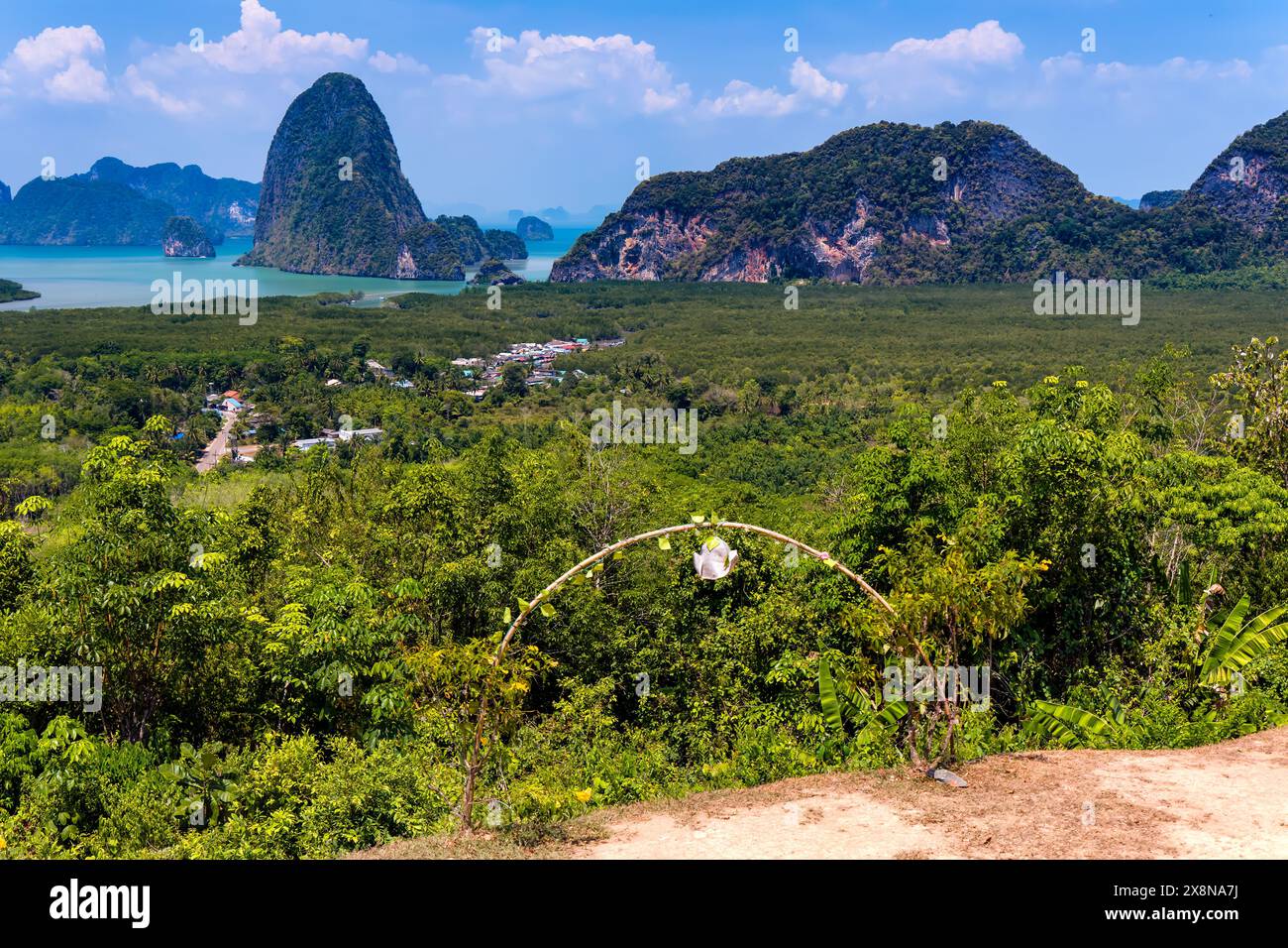 Tropical mangroves and limestone pinnacles in a shallow ocean (Phang ...