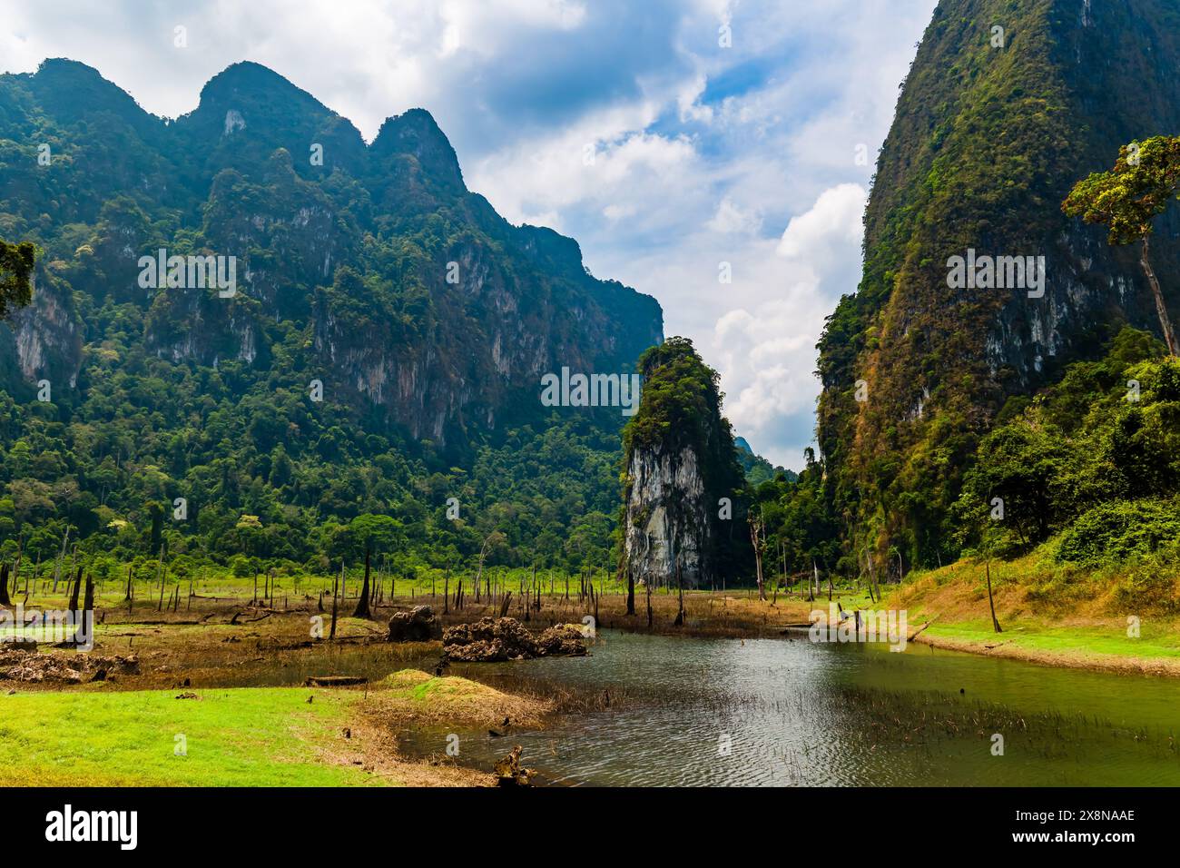 Limestone cliffs and tropical jungle in a remote wilderness Stock Photo ...