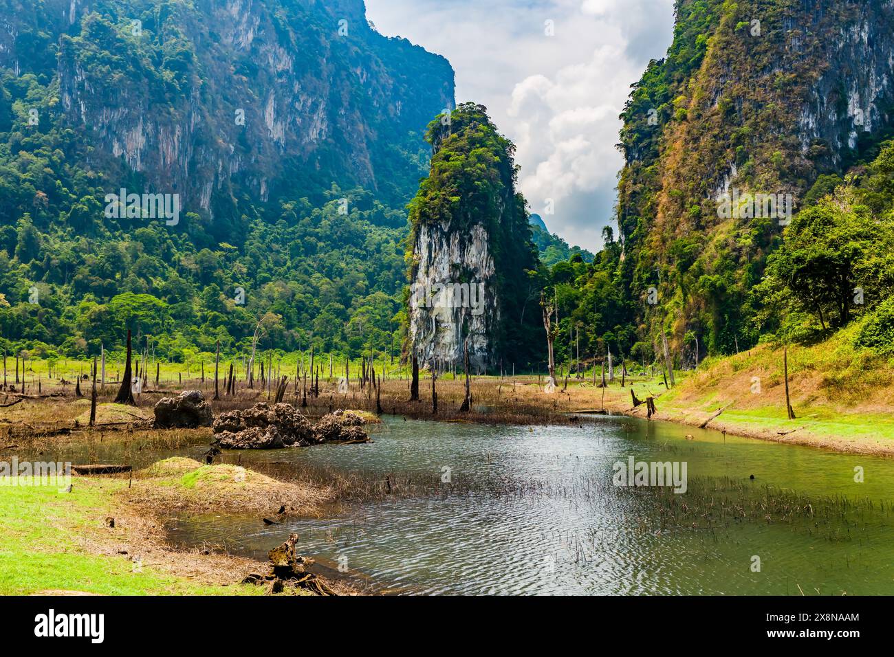 Thick tropical jungle and towering limestone cliffs in Khao Sok ...