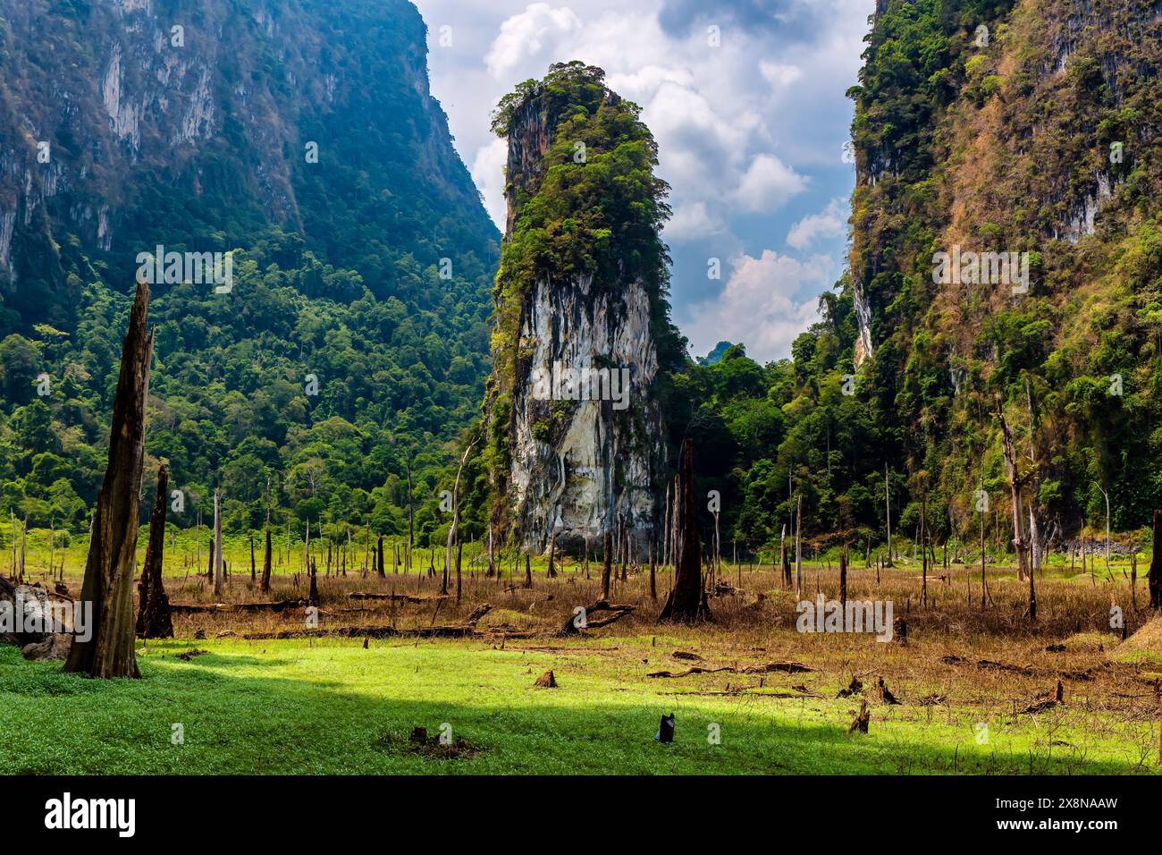 Limestone cliffs and tropical jungle in a remote wilderness Stock Photo ...