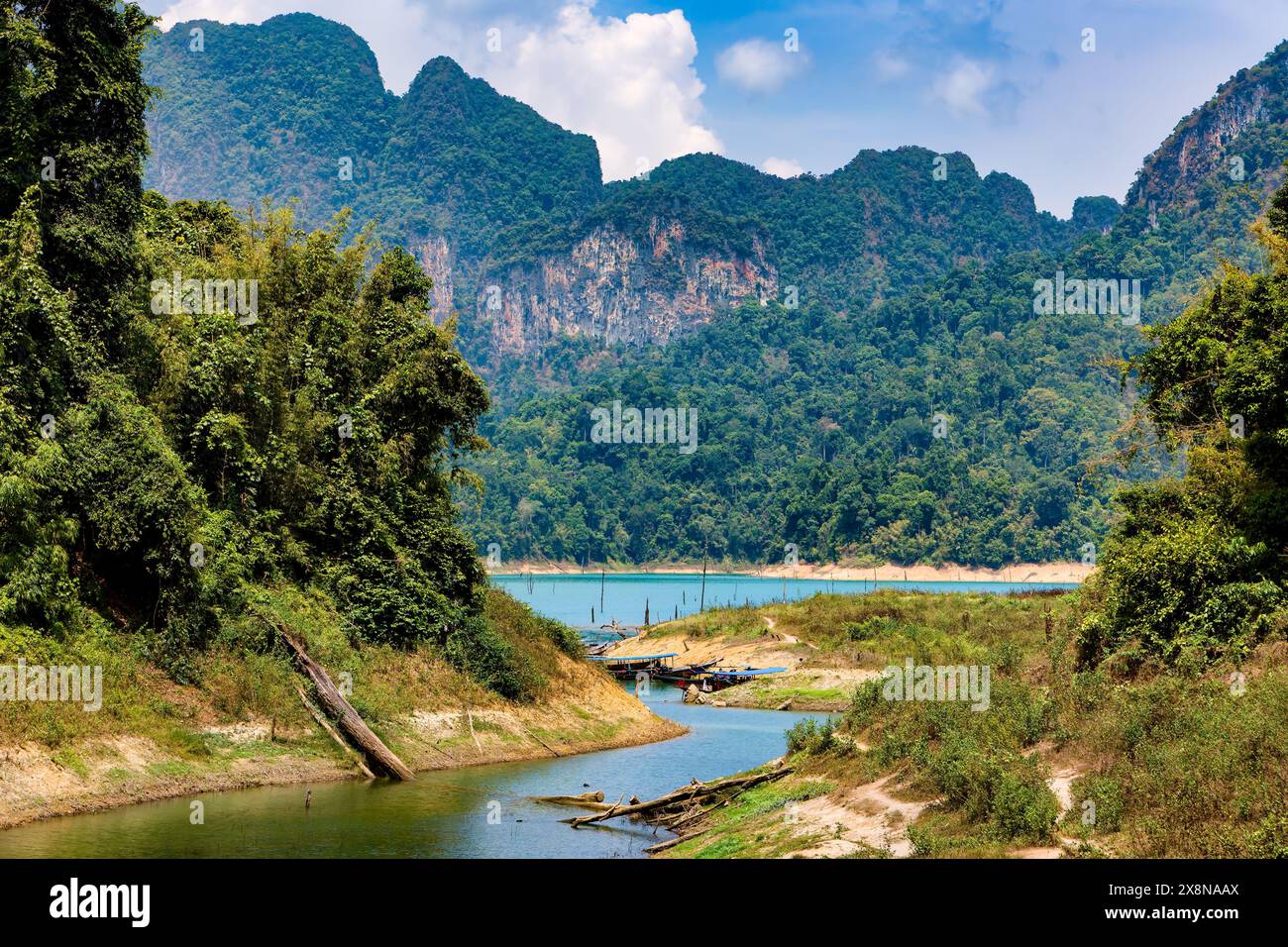 Beautiful mountain dense jungle in hi-res stock photography and images ...