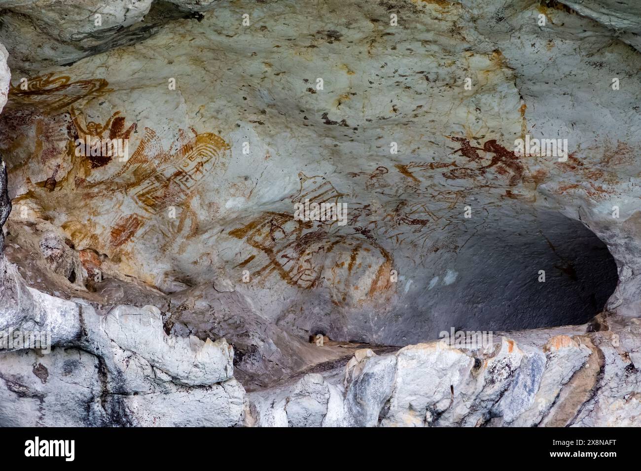 Ancient cave drawings of fish and animals in a small cave in Phang Nga ...