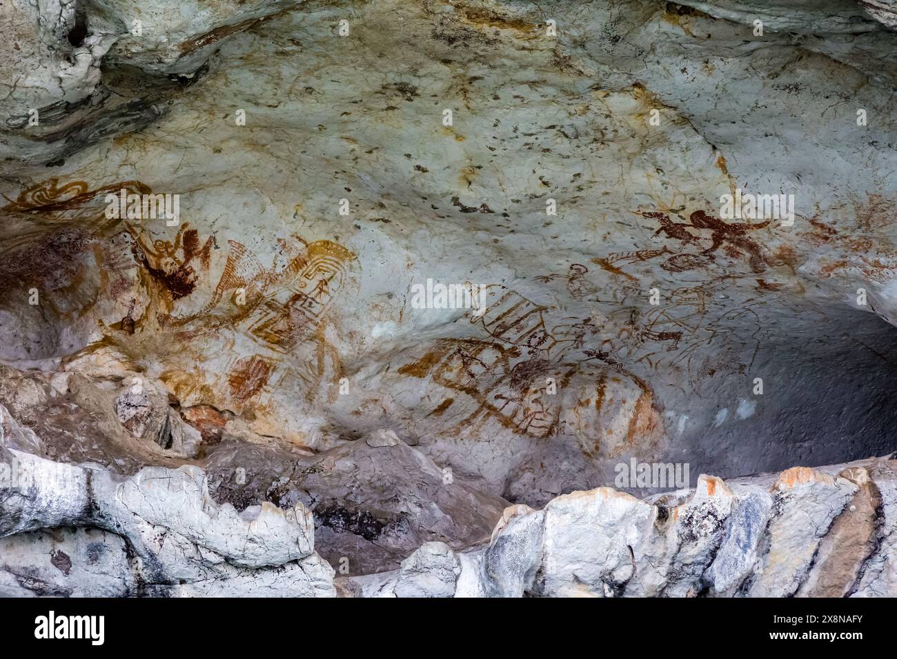 Ancient cave drawings of fish and animals in a small cave in Phang Nga ...