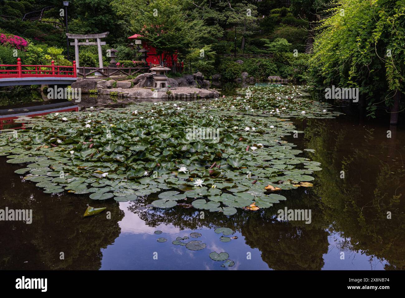 Sudo Park rises like an amphitheater around a central pond and shrine ...