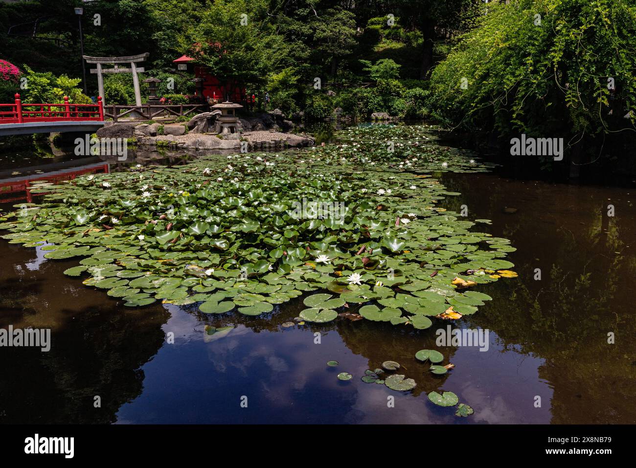 Sudo Park rises like an amphitheater around a central pond and shrine ...