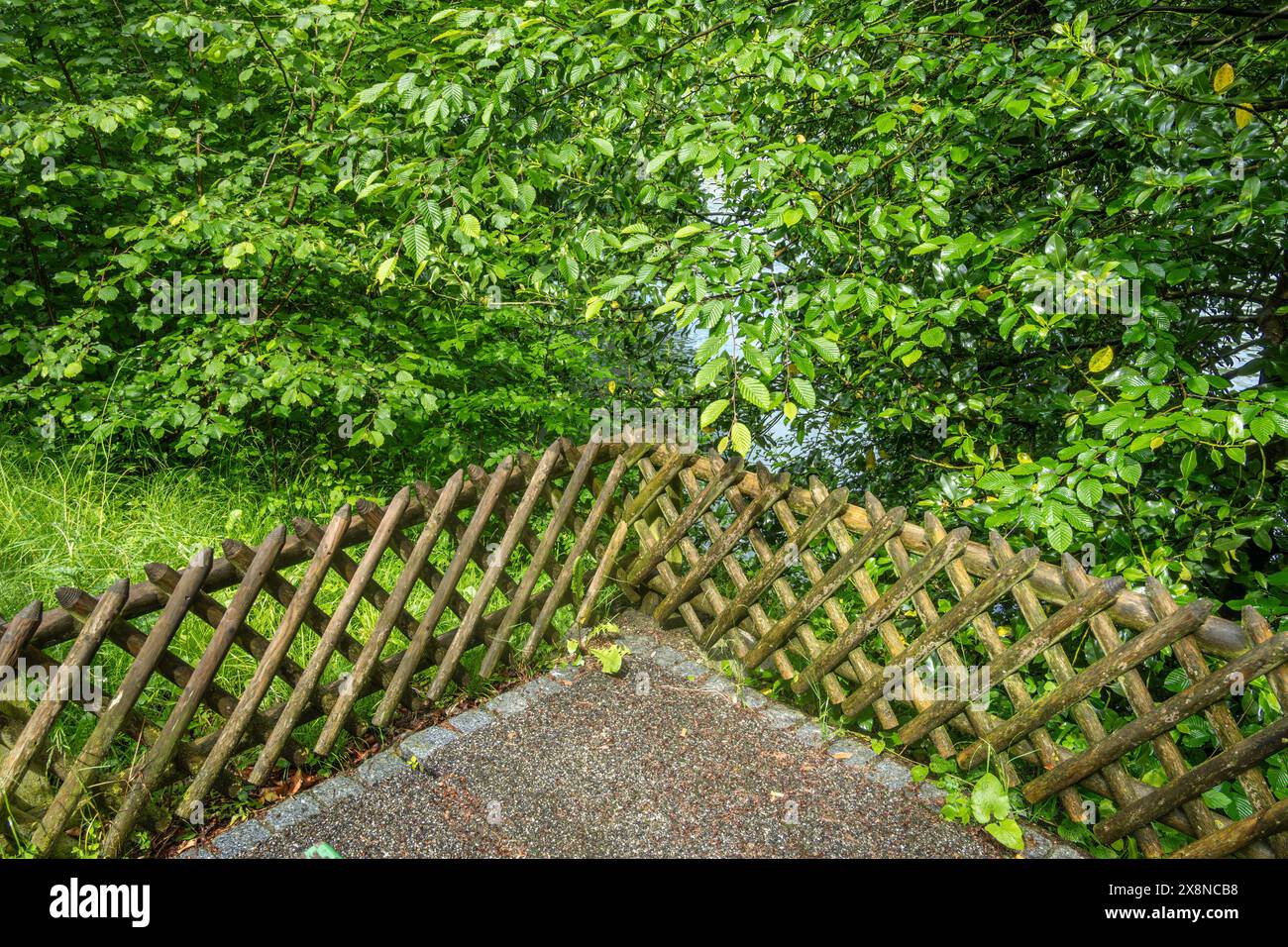 Serene scene of weathered wooden fence, lush green foliage and gravel ...