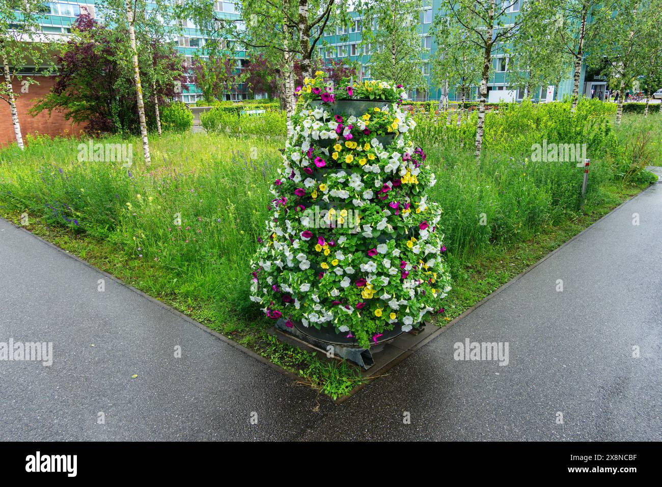 Olten, Switzerland - May 25, 2024: A vibrant green grass and flowering ...