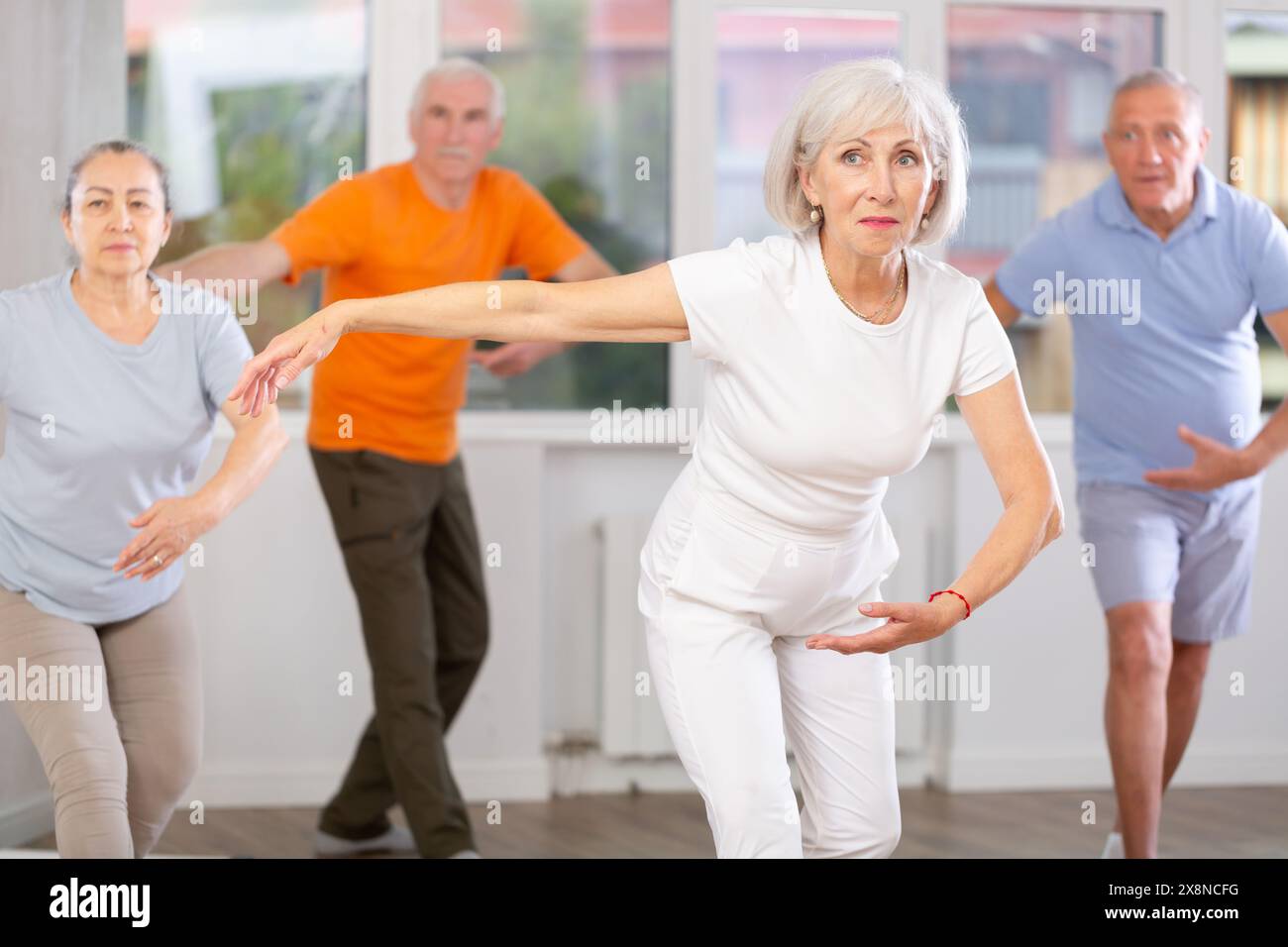 Group of elderly people of different ages are learning various dance ...