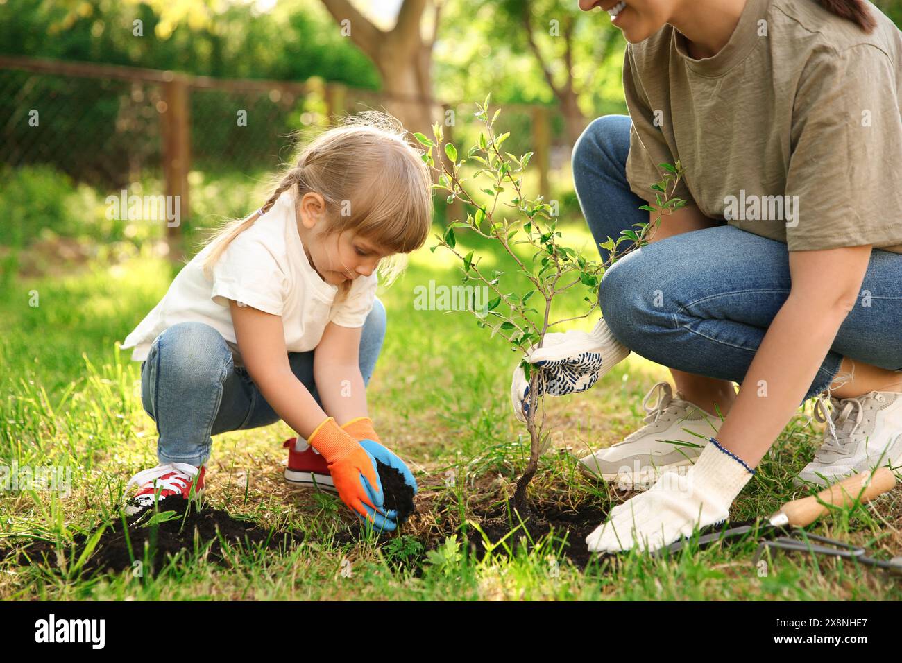 Mother and her daughter planting tree together in garden Stock Photo ...