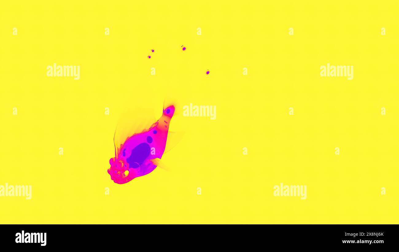 The colorful fish silhouette swimming in liquid texture. Design ...