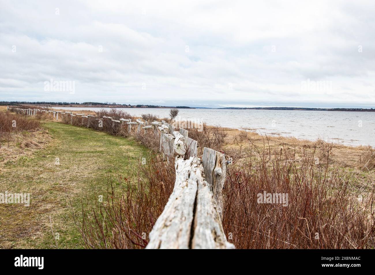 Trails at Greenwich National Park in St. Peters Bay, Prince Edward Island, Canada Stock Photo ...